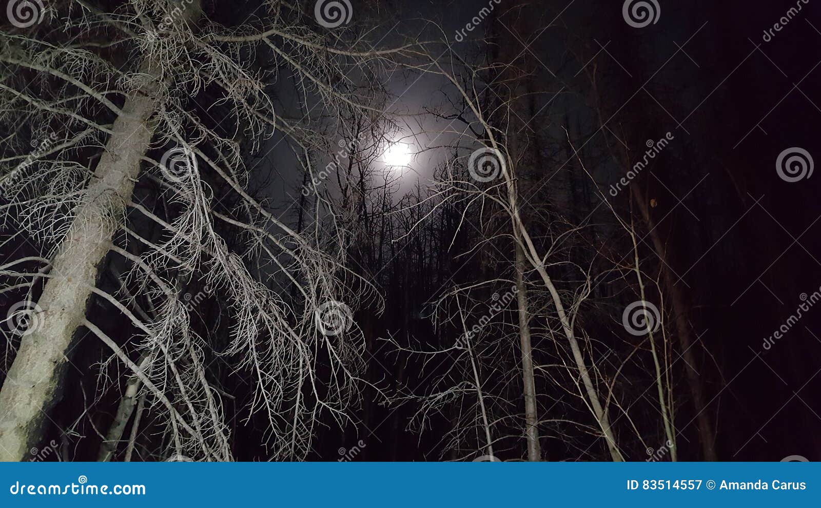 Eerie moon stock image. Image of casper, moon, full, overcast - 83514557