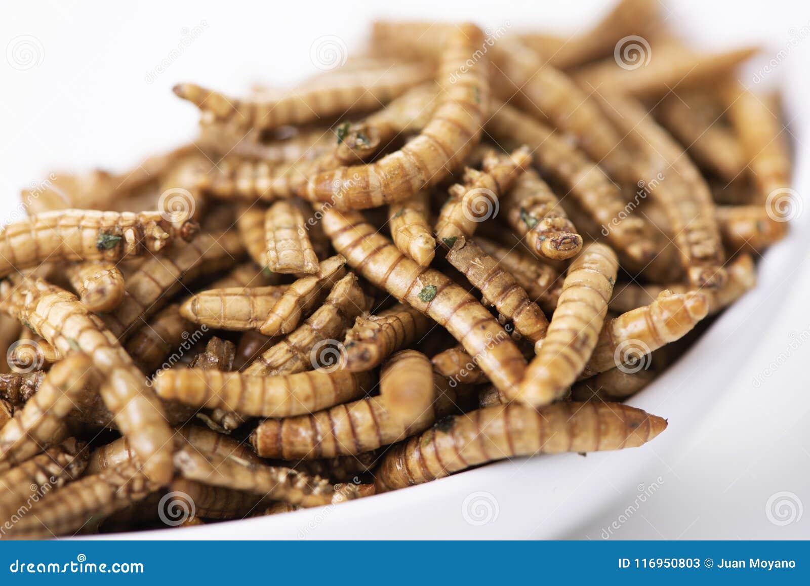 Eetbare gebraden wormen stock afbeelding. Image of knoflook - 116950803