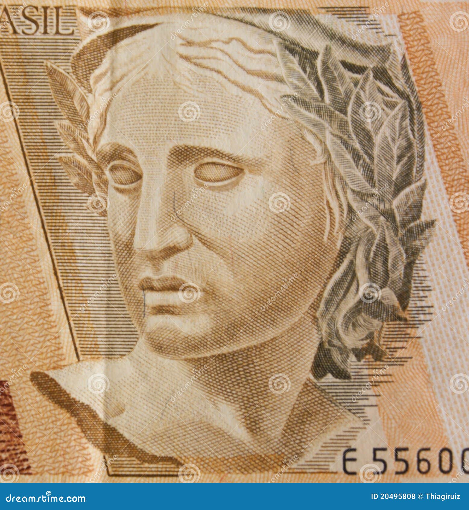 Efígie Da República De Brasil Foto de Stock - Imagem de brasil ...