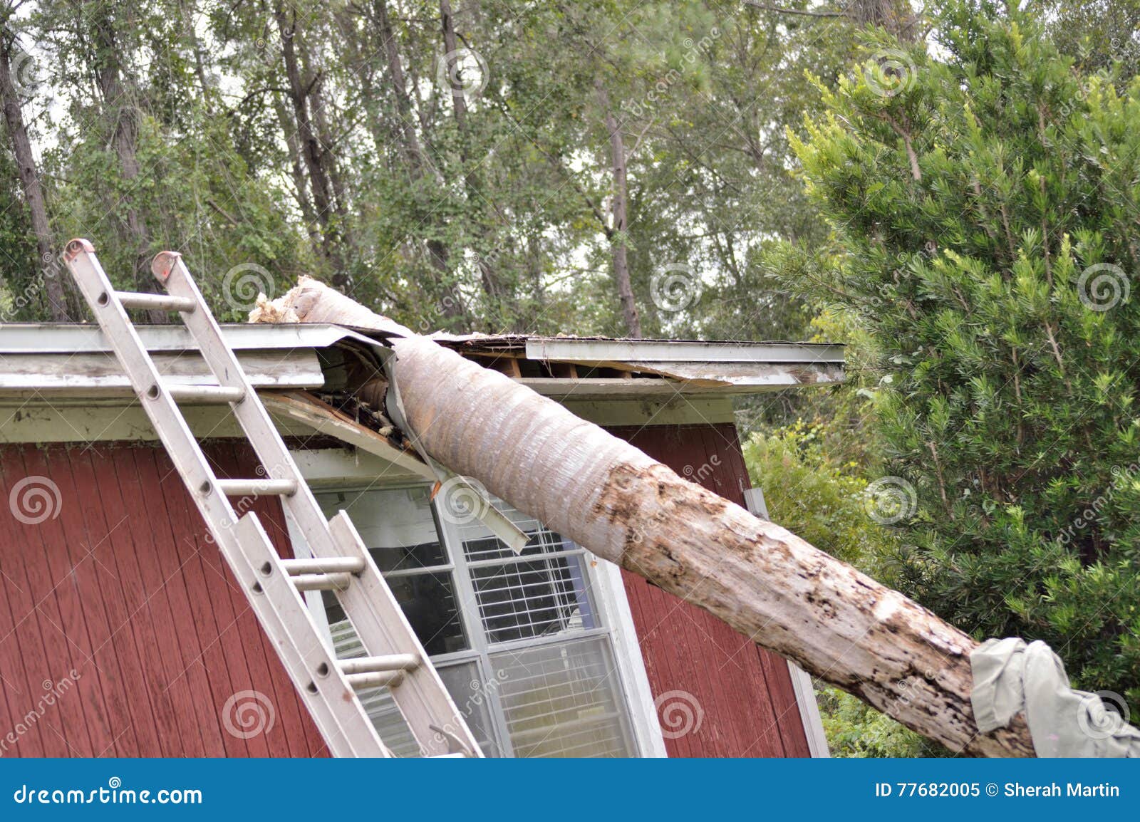 EF0 Tornado Damage on House Roof Stock Image - Image of wind, queen ...
