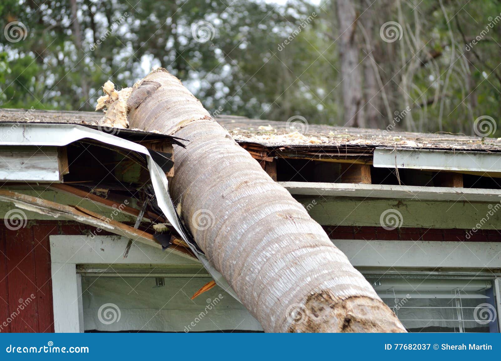 EF0 Tornado Damage on House Roof Stock Image - Image of problem, eave ...