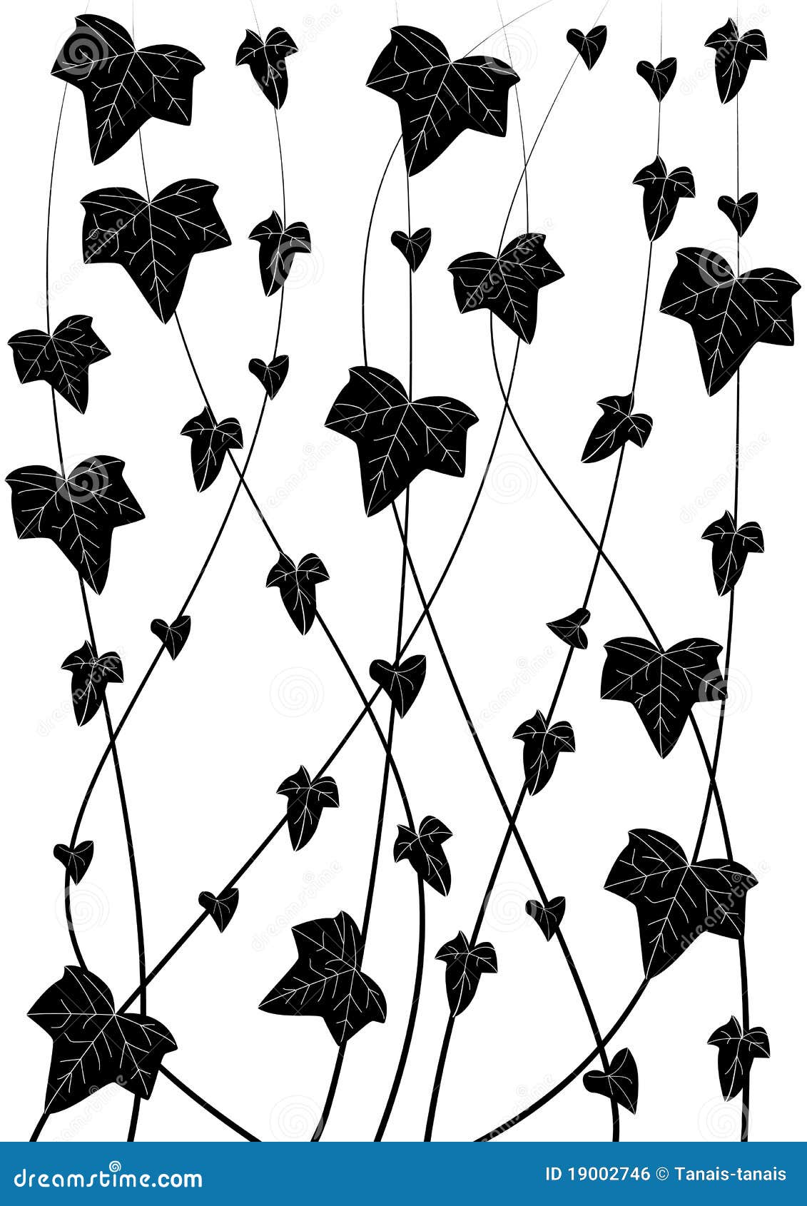 Efeu vektor abbildung. Illustration von clips, sommer - 19002746