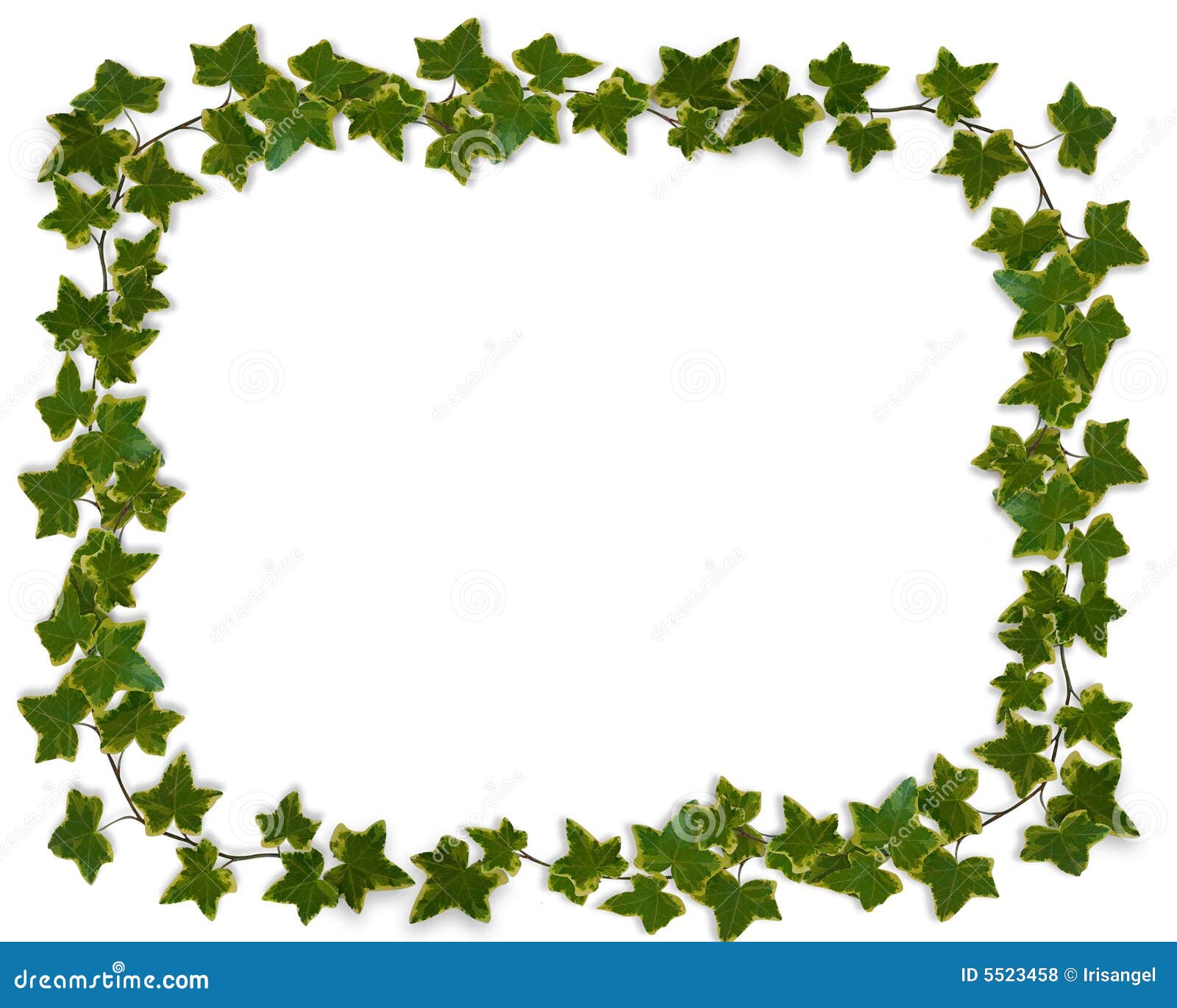 Efeu-Randelement stock abbildung. Illustration von einladung - 5523458