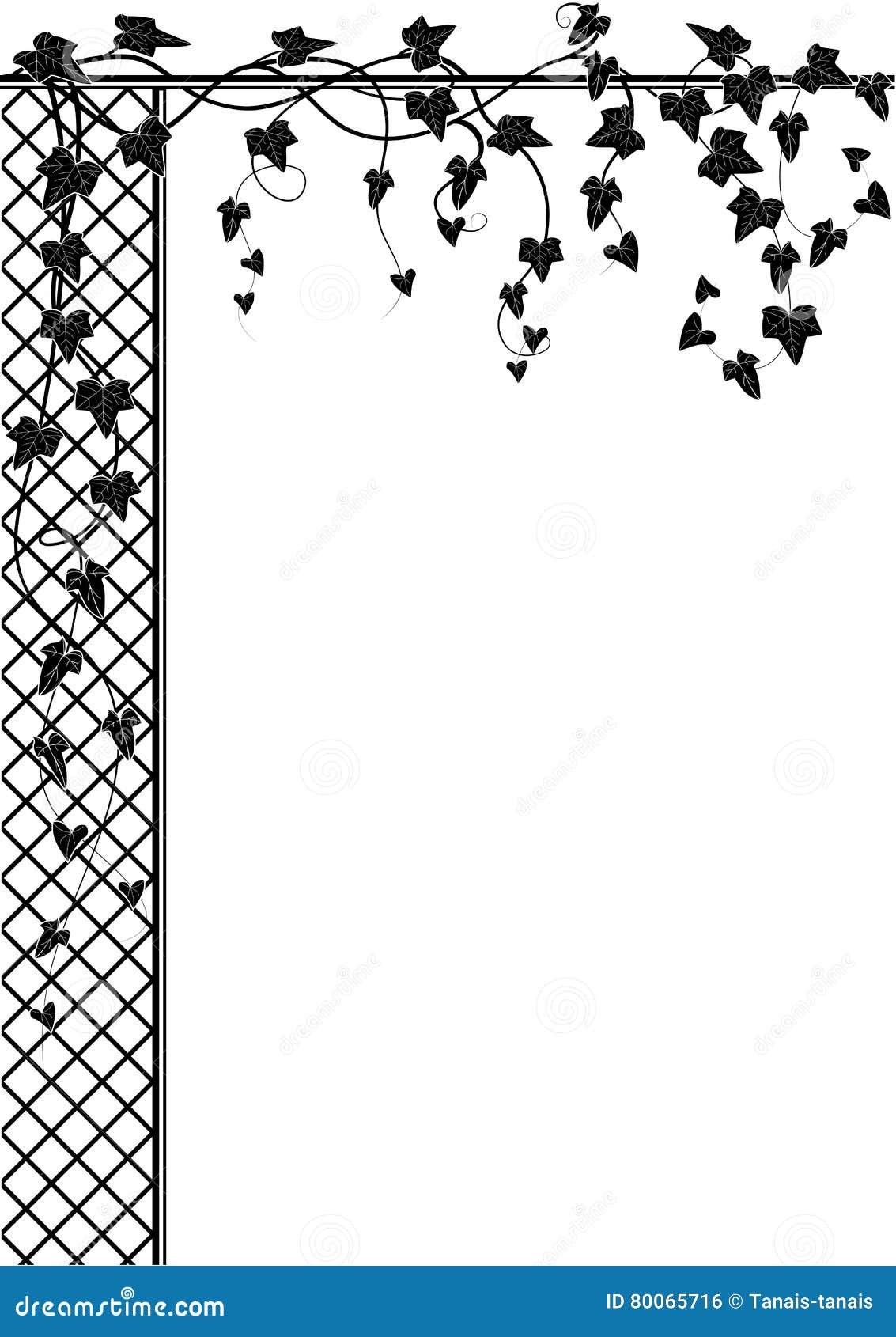 Efeu und Gitter vektor abbildung. Illustration von verzierung - 80065716