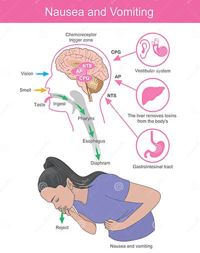 Effect of brain processes stock illustration. Illustration of medical ...