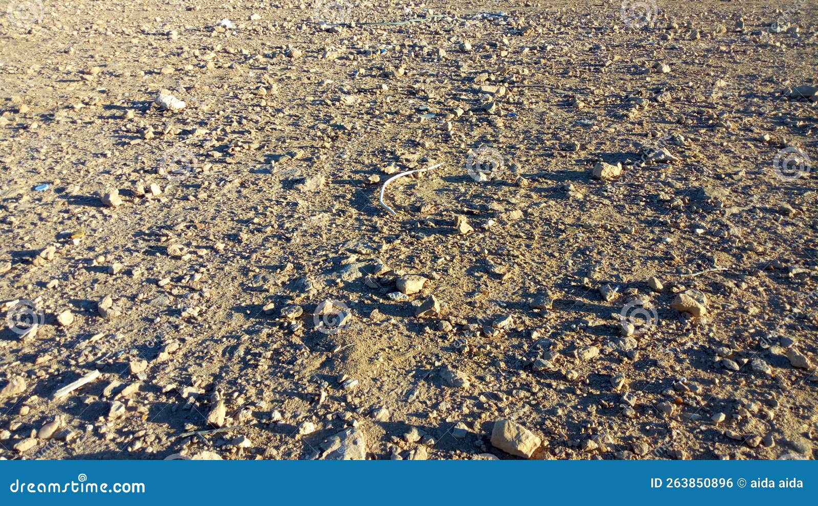 The Effect of Drought on the Soil Stock Photo - Image of effect, nature ...