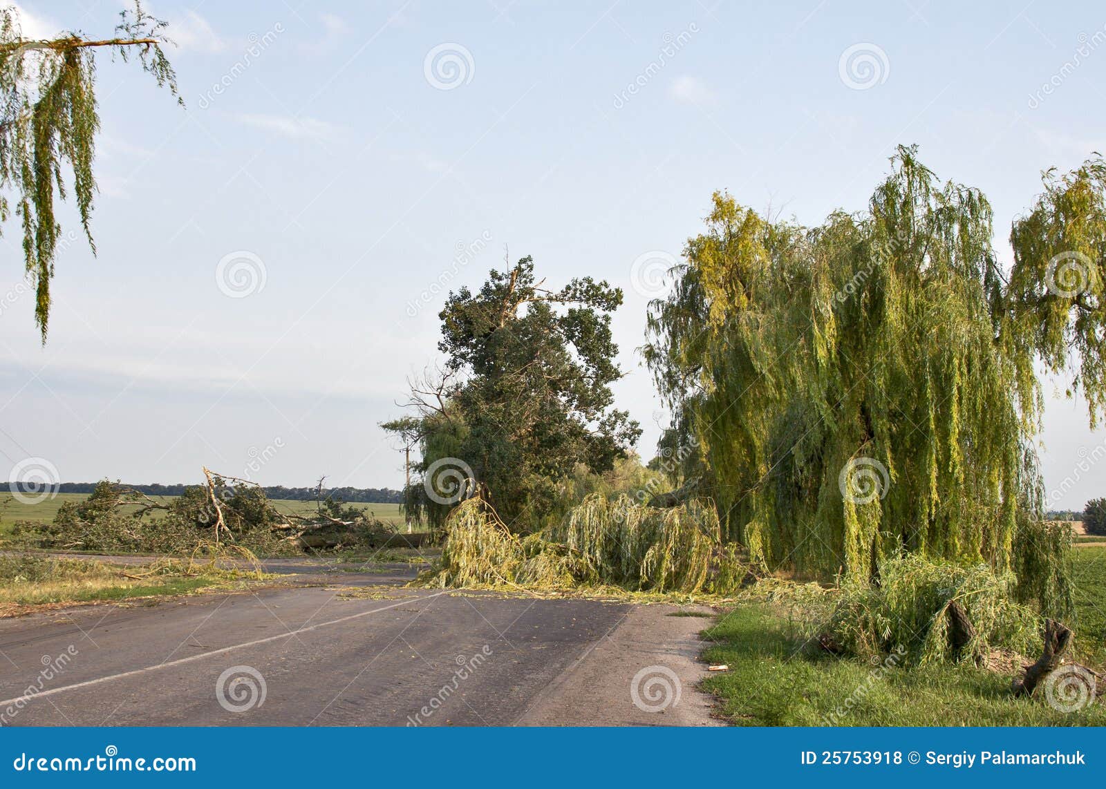 Effect of Hurricane in Ukraine Stock Photo - Image of natural, osier ...