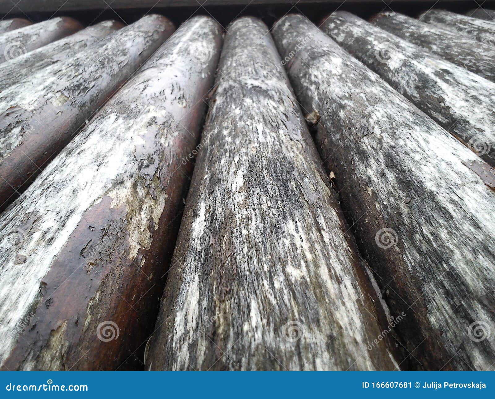 The Effect of Moisture on Wood. a Construction Log for Use in ...