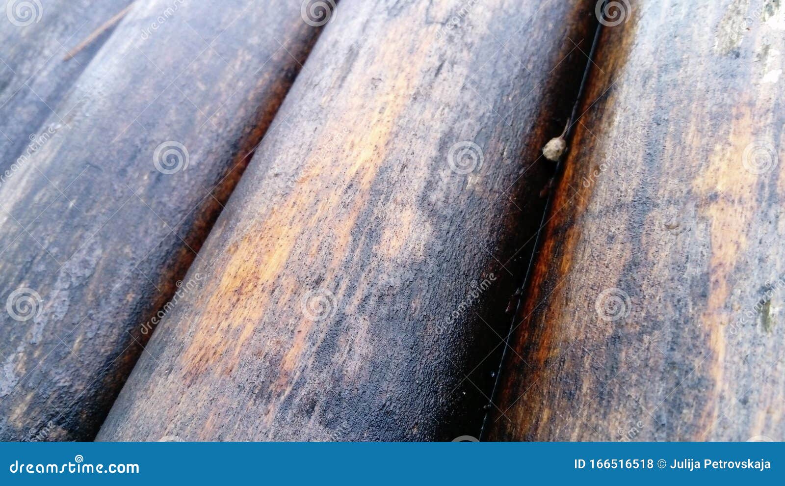 The Effect of Moisture on Wood. a Construction Log for Use in ...