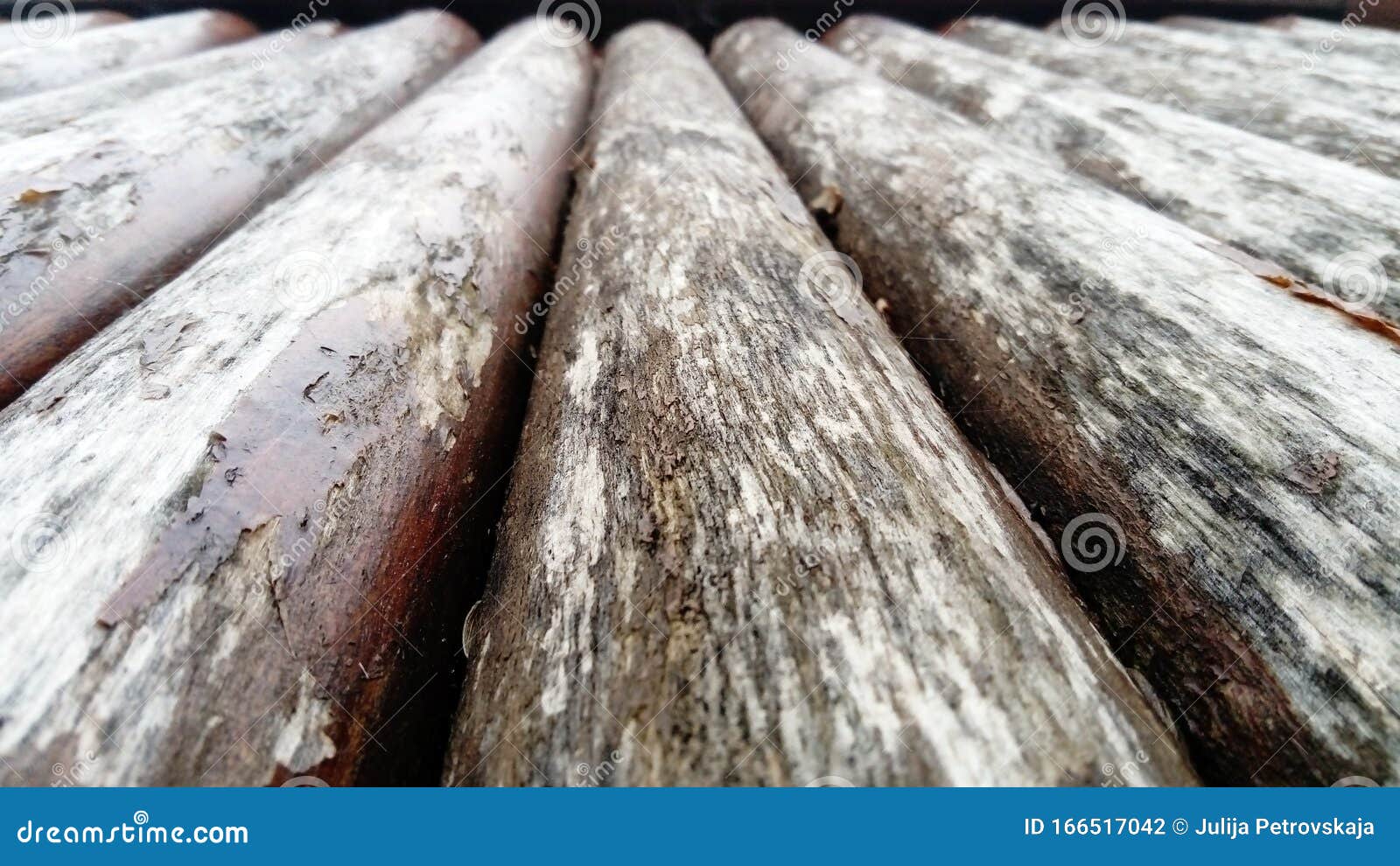 The Effect of Moisture on Wood. a Construction Log for Use in ...