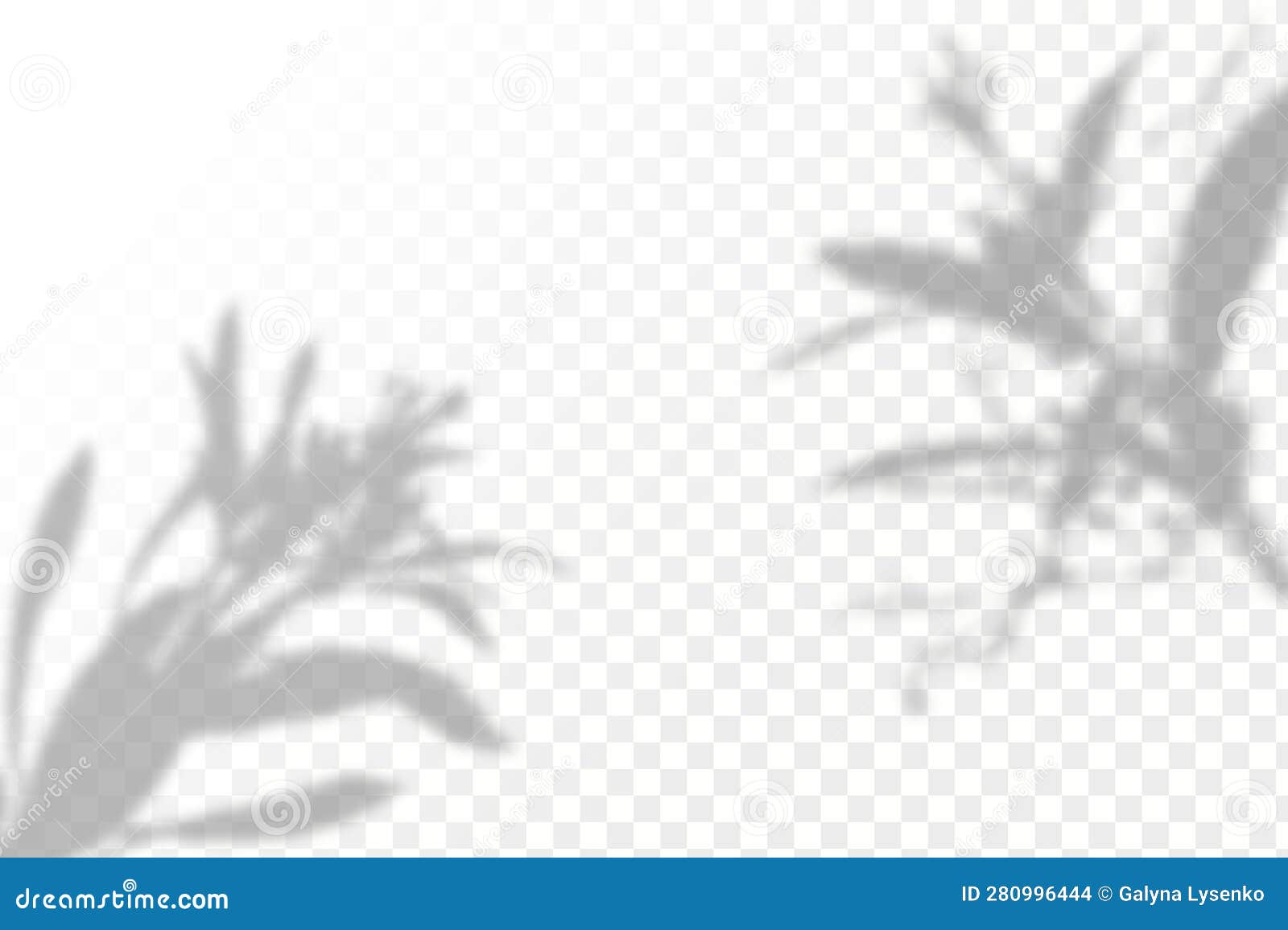 Realistic Shadow Tropical Leaves and Branches on Transparent Checkered ...