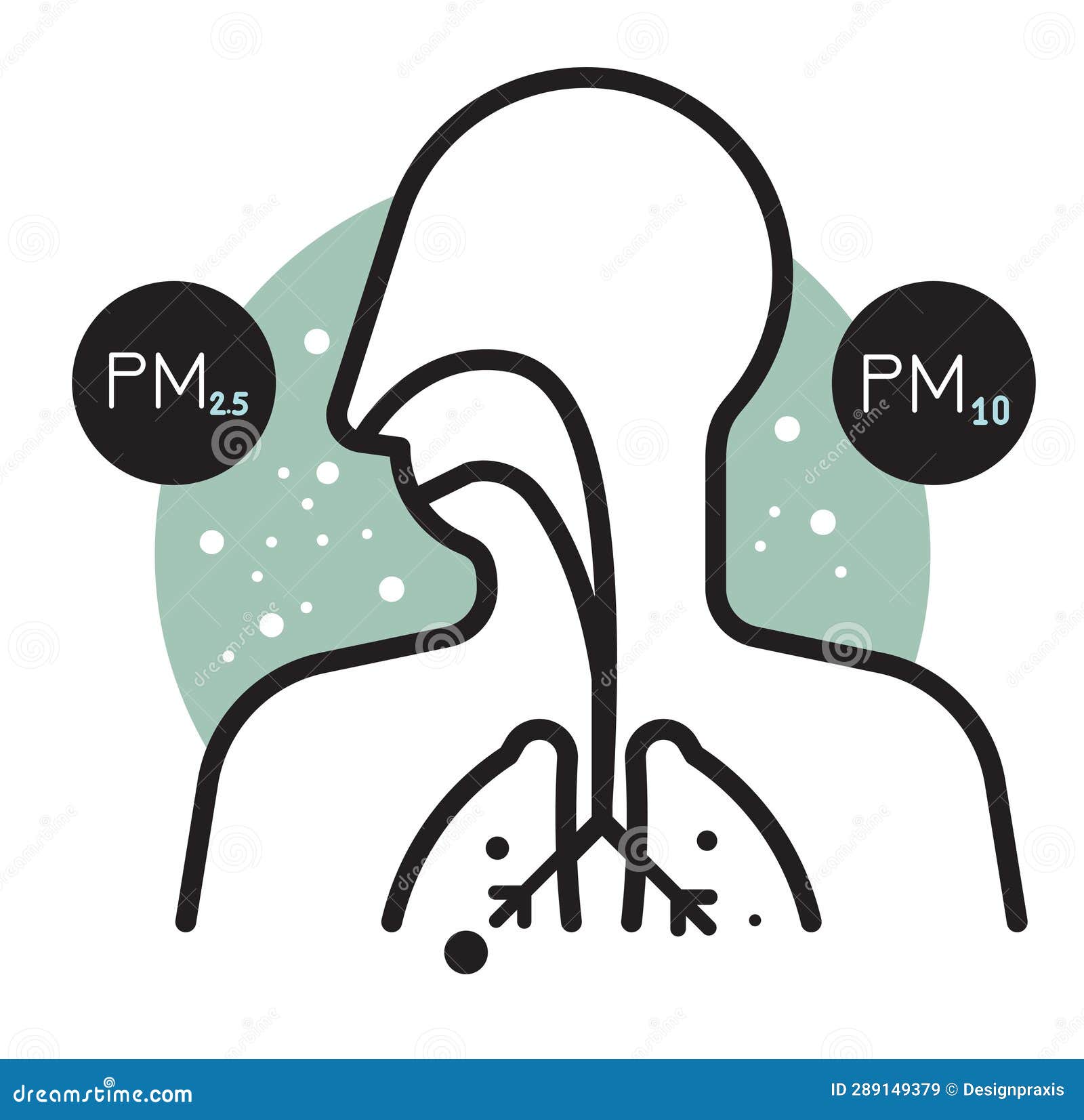 Effect of Particulate Matter PM 10 and 2.5 Pollution on Human Body ...