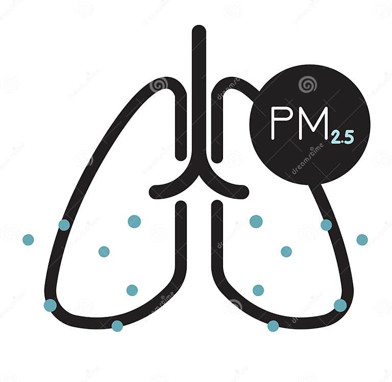 Effect of Particulate Matter PM 10 and 2.5 Pollution on Human Lungs ...