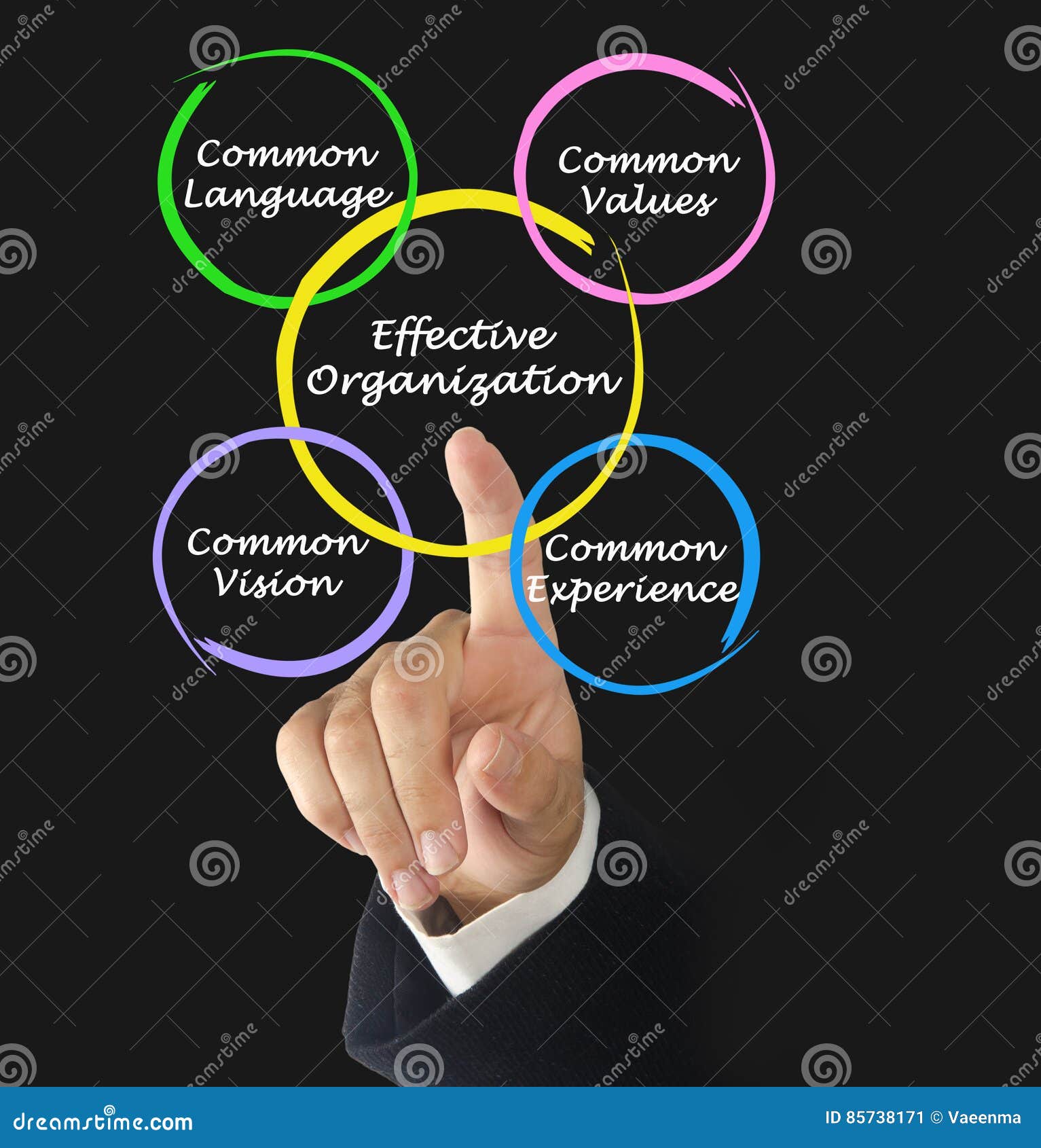 Effective Organizations stock image. Image of lecturer - 85738171