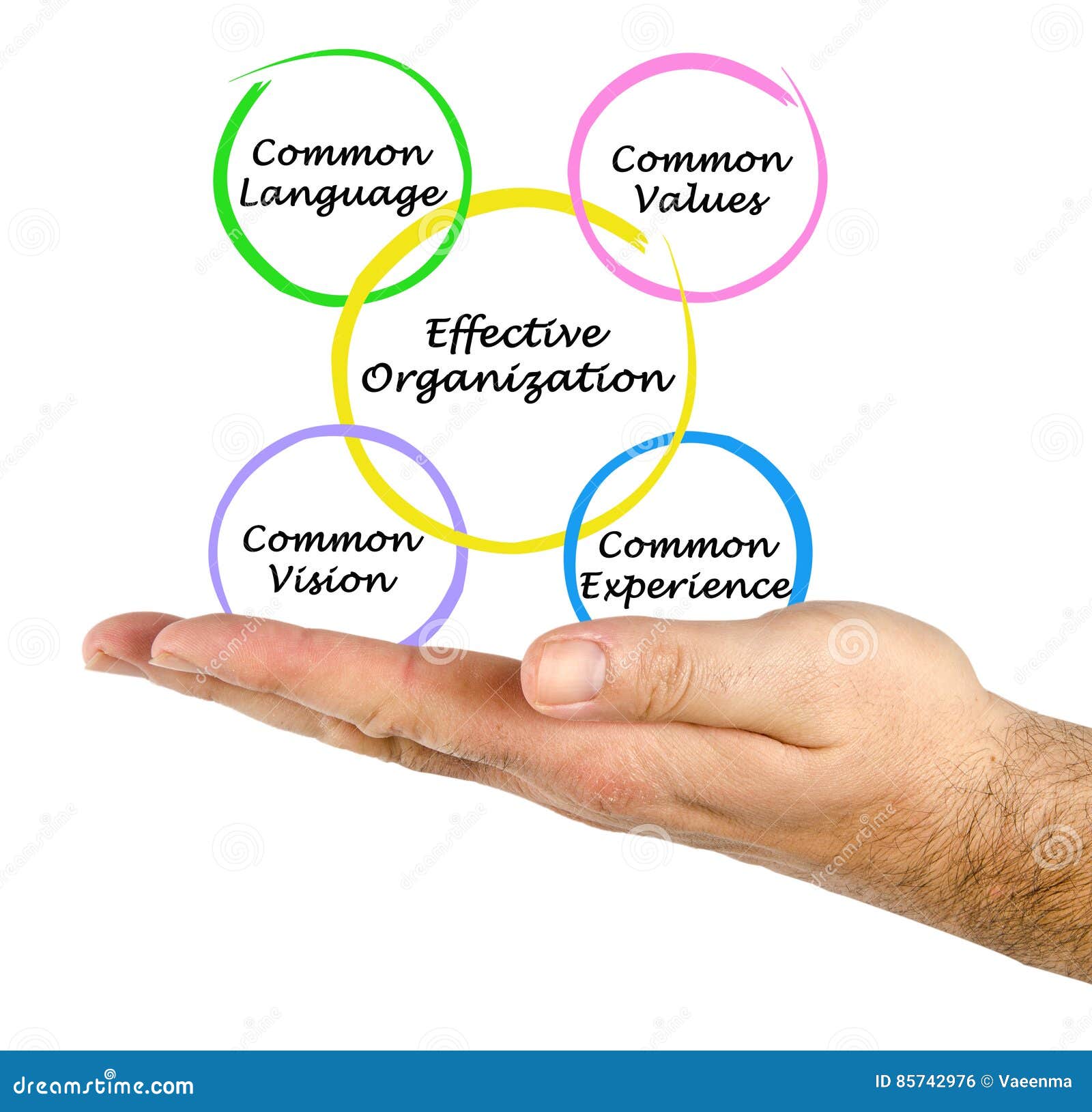 Effective Organizations stock photo. Image of diagram - 85742976
