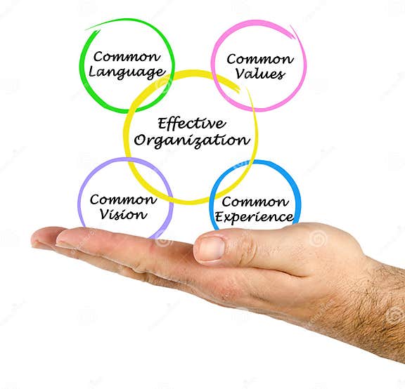 Effective Organizations stock photo. Image of diagram - 85742976