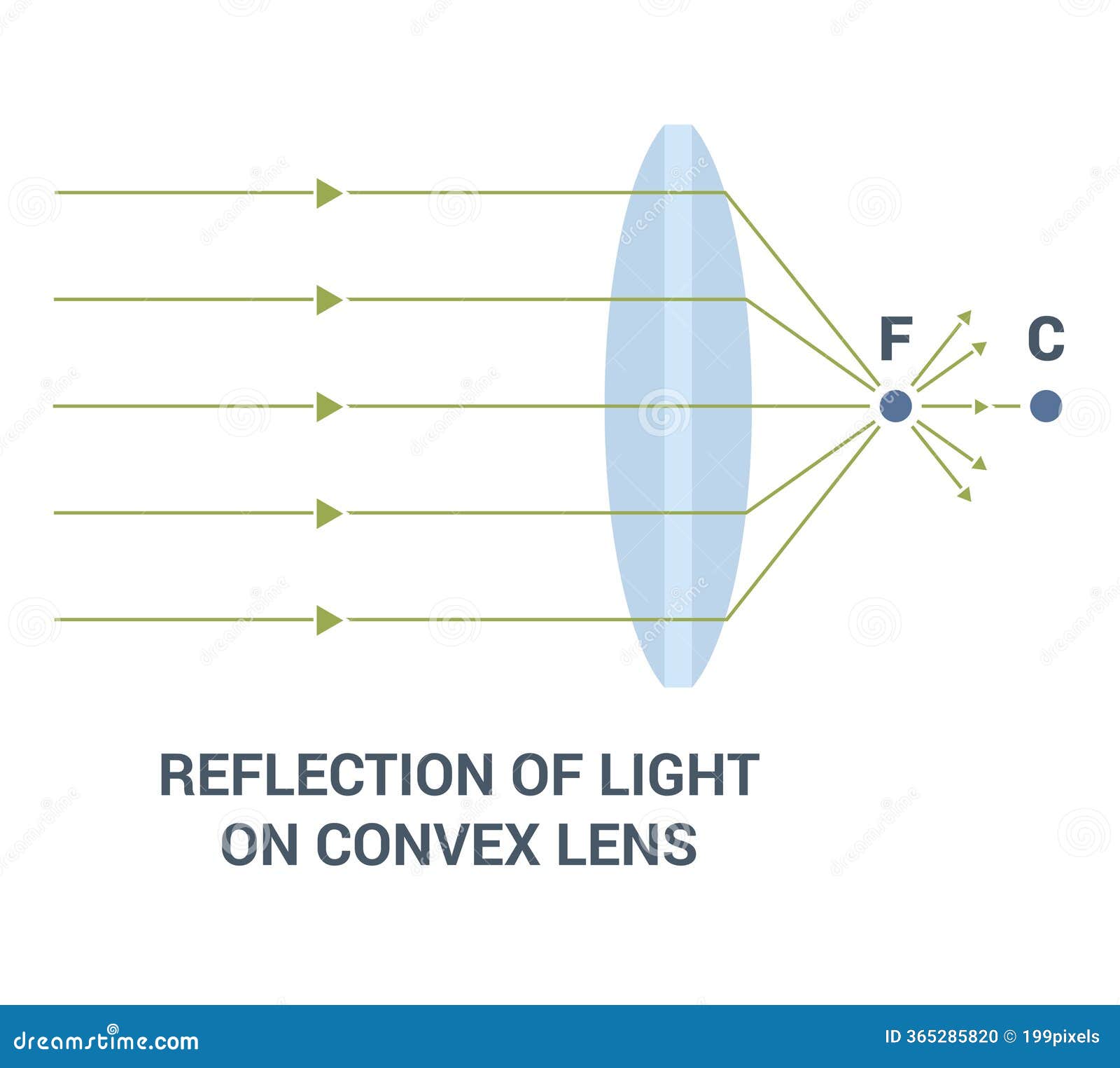 Convex Lens Schematic Diagram In Optics Physics. Vector Illustration ...