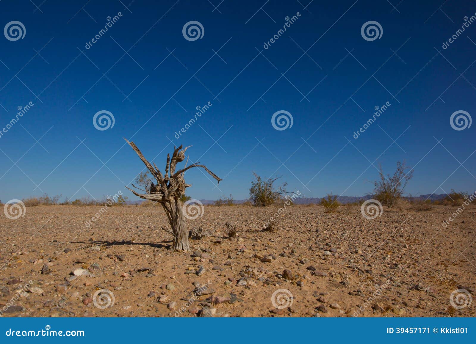 Effects of Climate Change stock image. Image of drought - 39457171