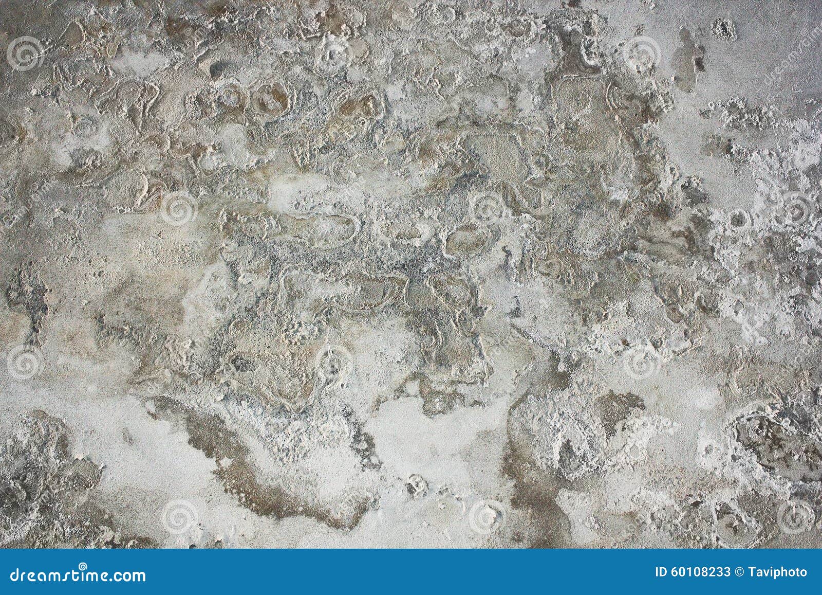 Effects of damp on plaster stock image. Image of moistness - 60108233