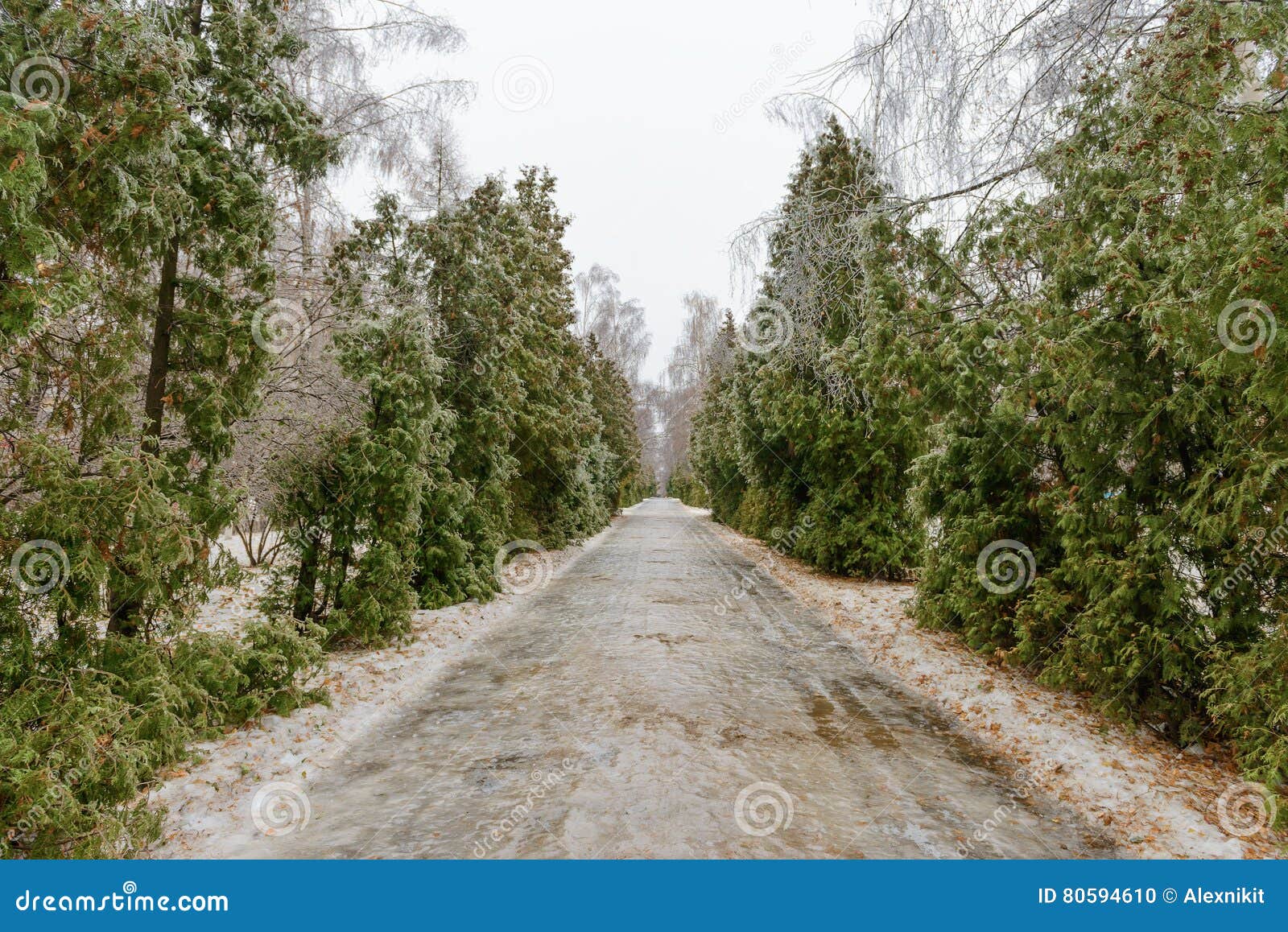 The Effects of Freezing Rain in the Alley Stock Photo - Image of ...