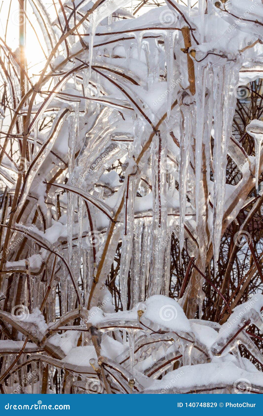 Effects of freezing rain stock image. Image of cold - 140748829