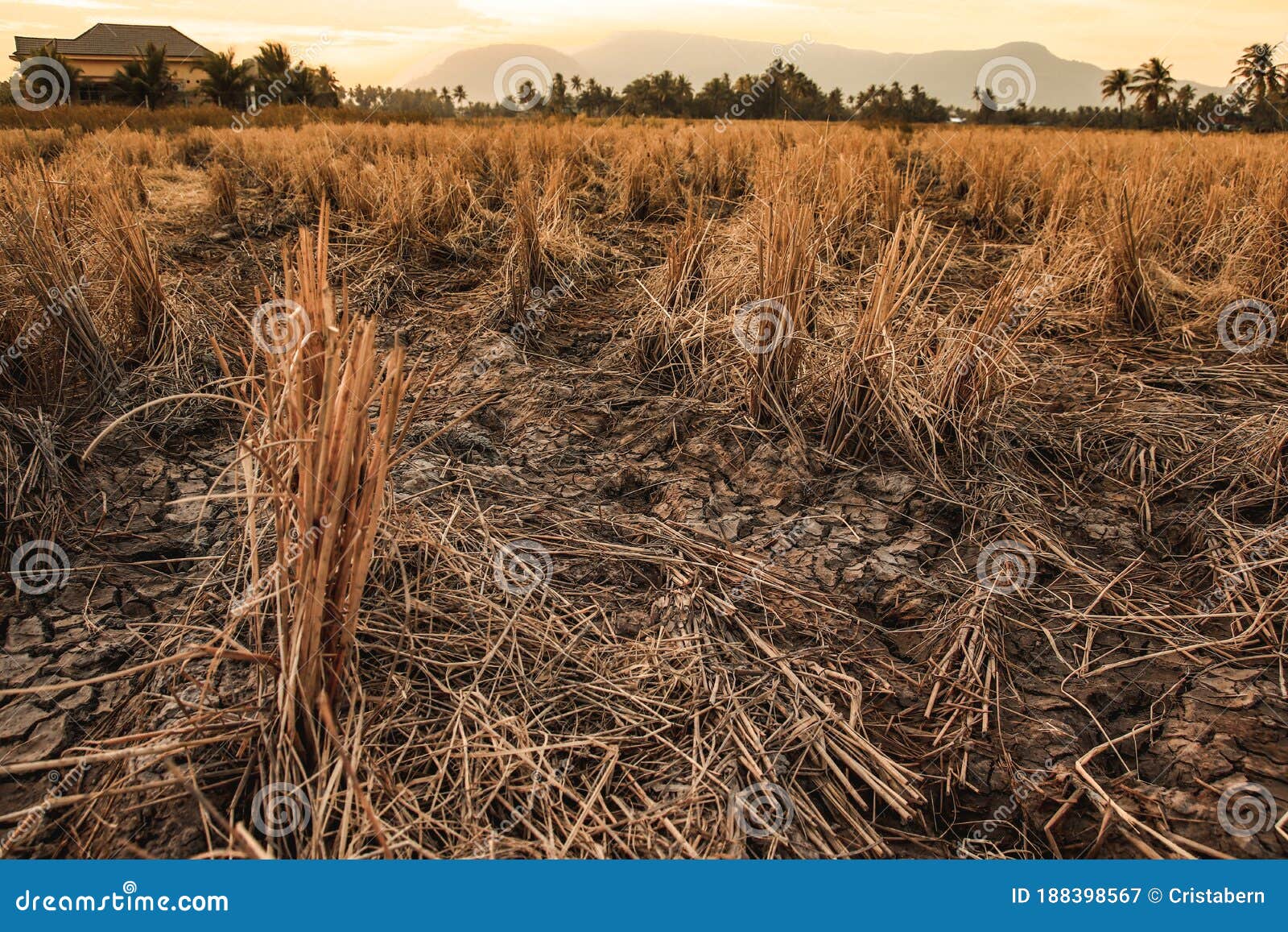 Effects of Global Warming and Climate Change Stock Image - Image of ...