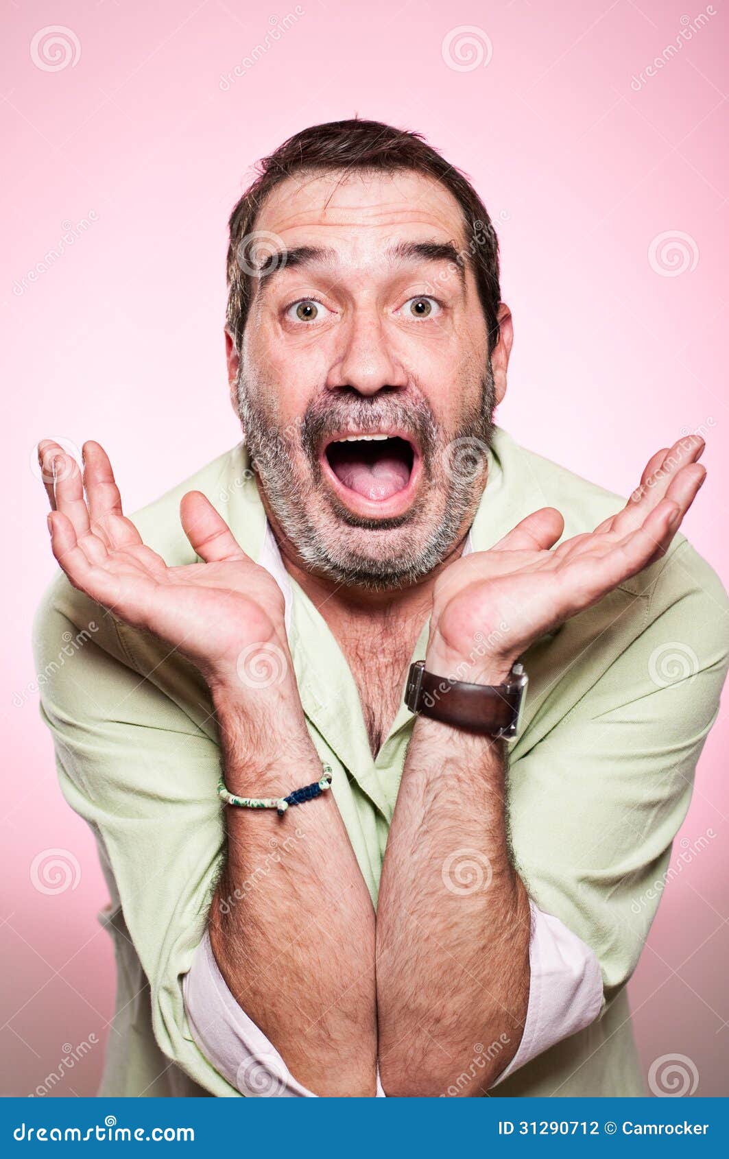 Effeminate Man Portrait stock photo. Image of gesturing - 31290712