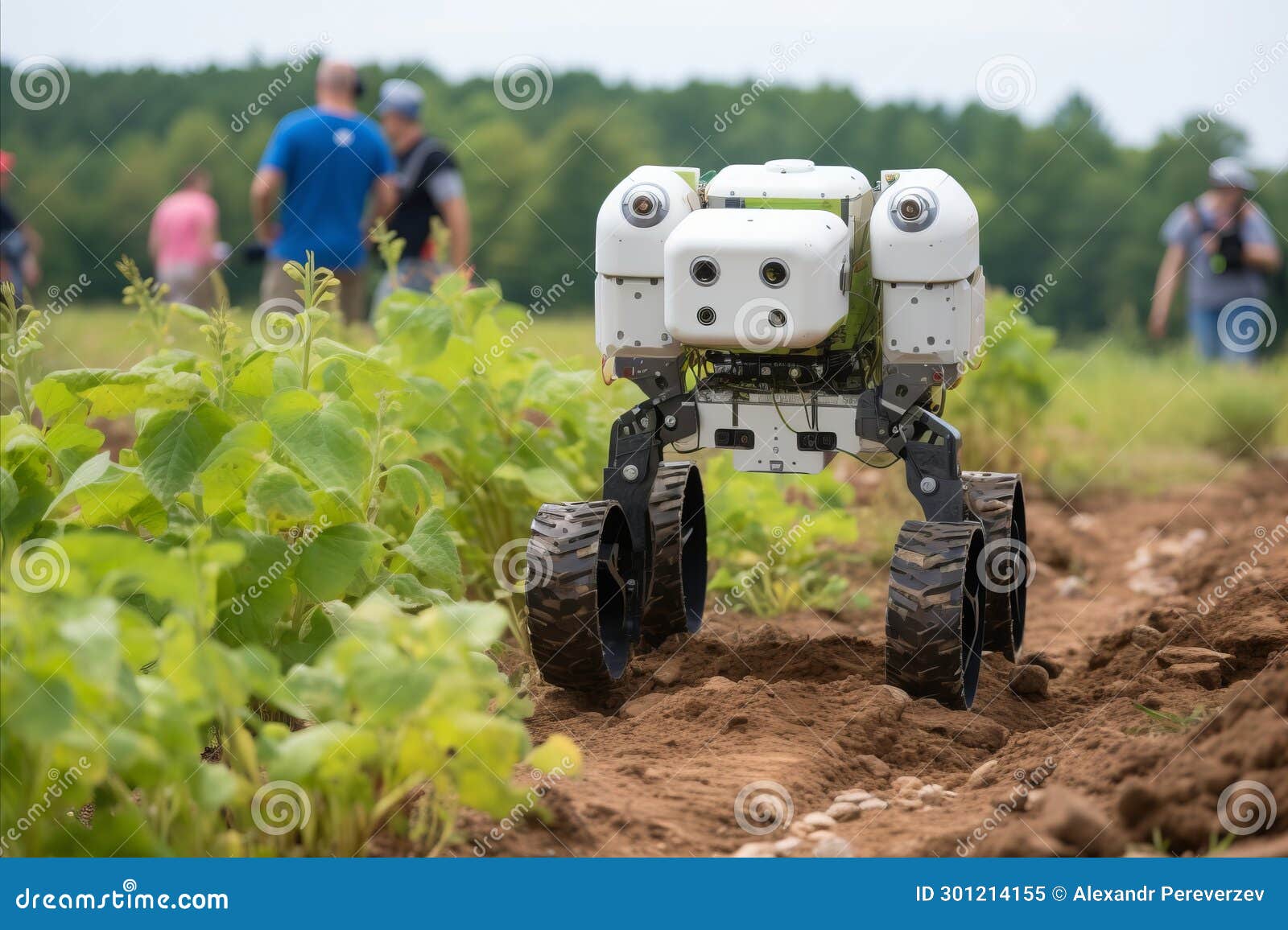 Efficient Collaboration between Humans and Robots for Sustainable ...