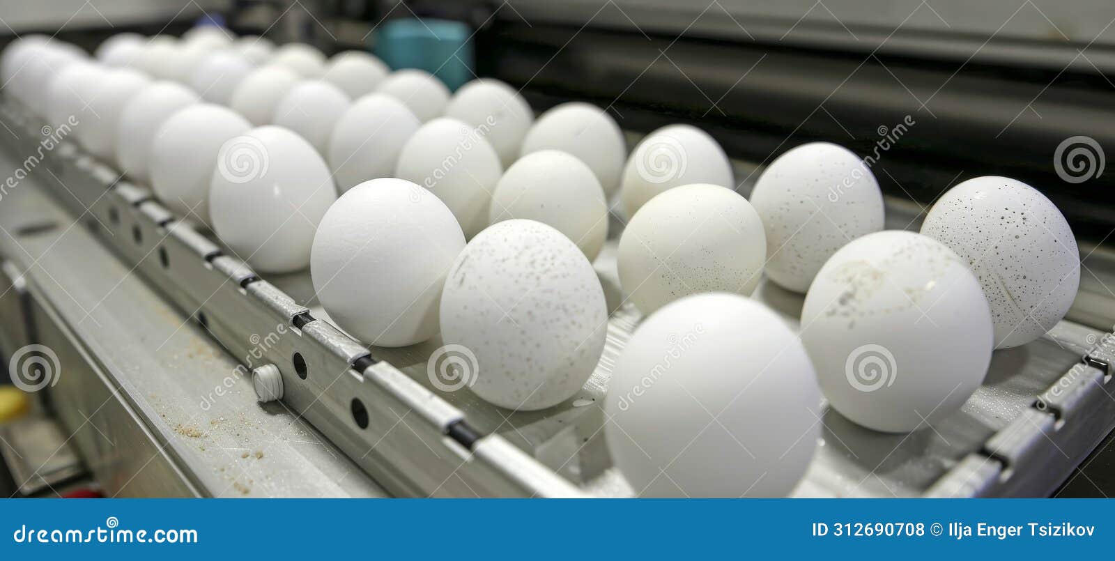 Efficient Egg Sorting Machine in Commercial Egg Production Facility for ...
