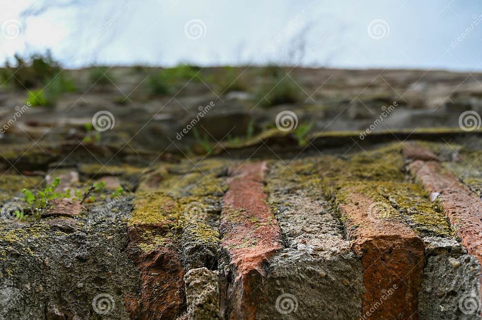 The Efflorescence on the Brick. Antique Brickwork Covered with White ...