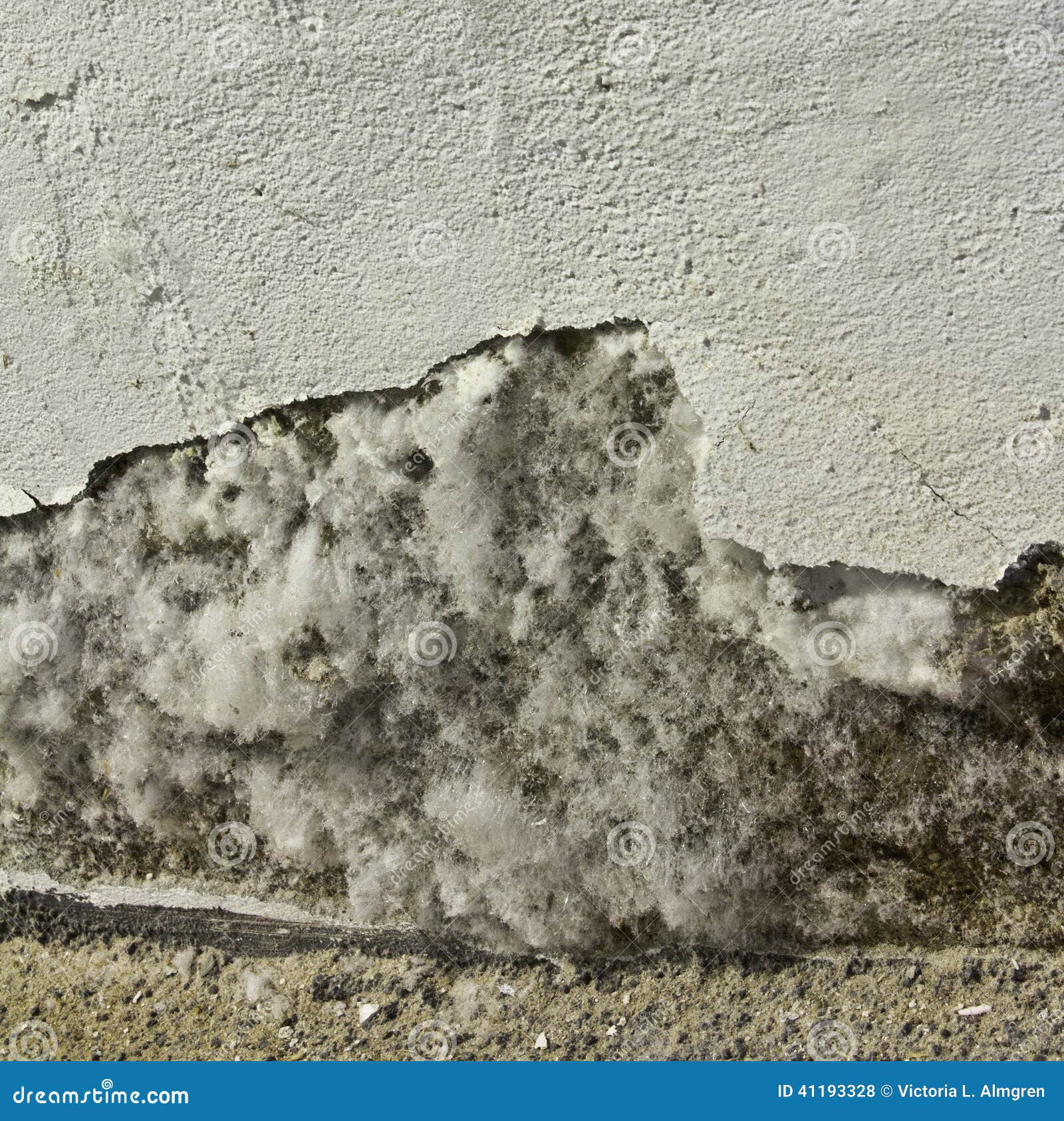 Efflorescenza fotografia stock. Immagine di parete, muffa - 41193328