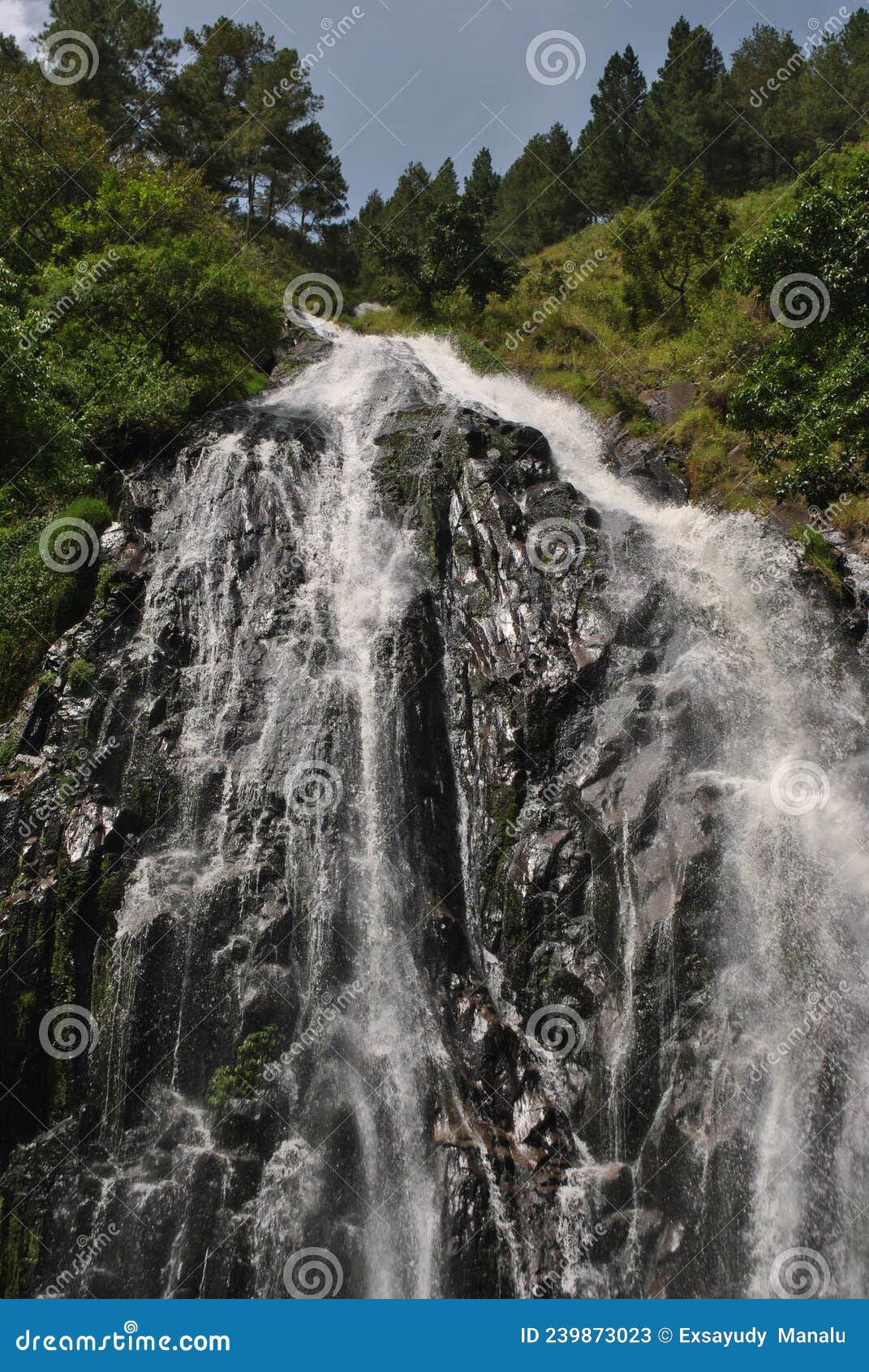 Efrata Waterfall Decorated with Greenery Around it Makes it Look ...