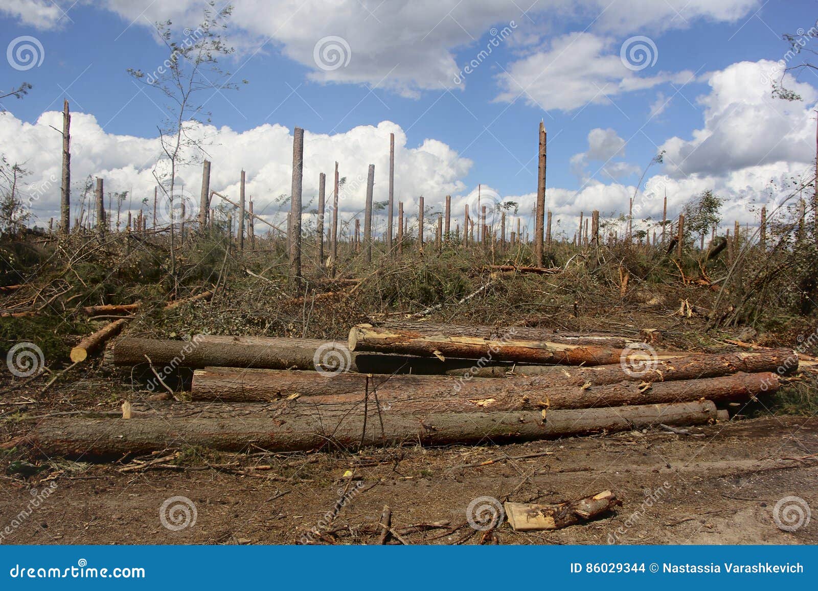 Efter orkan arkivfoto. Bild av fara, orkan, filialen - 86029344