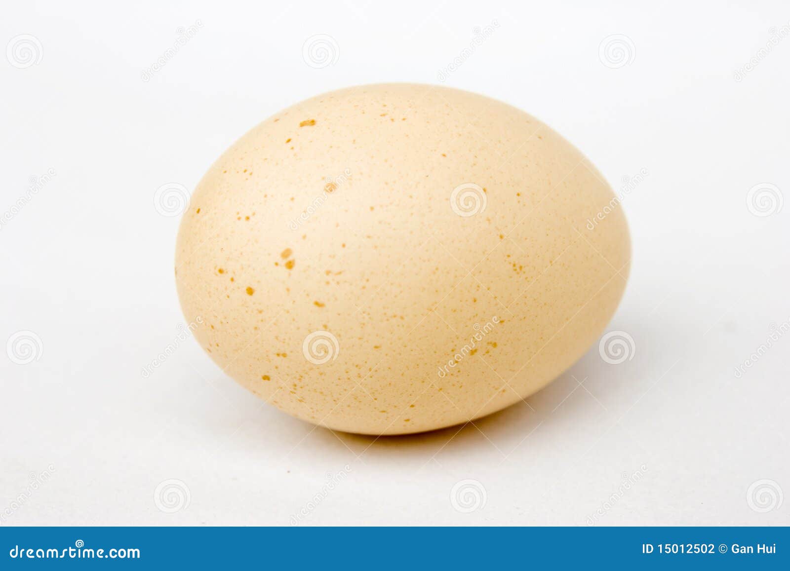 Egg stock photo. Image of close, healthy, uncooked, chicken - 15012502