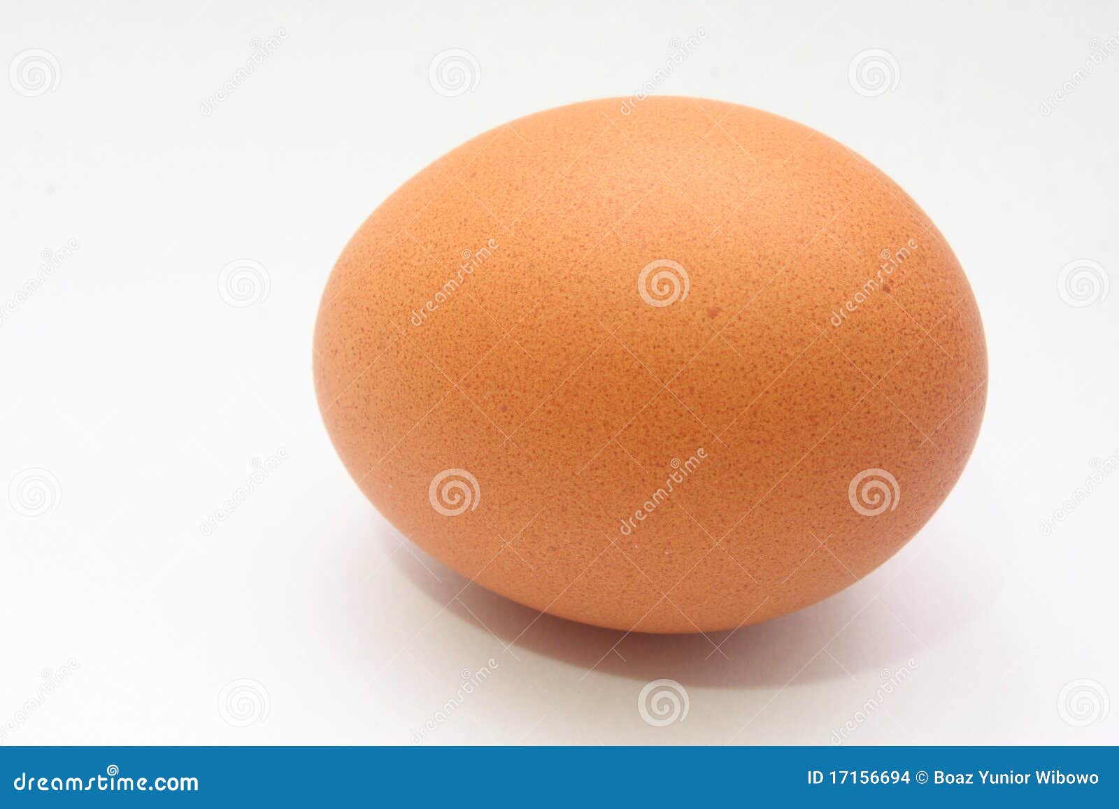 Egg stock photo. Image of round, shell, healthy, large - 17156694