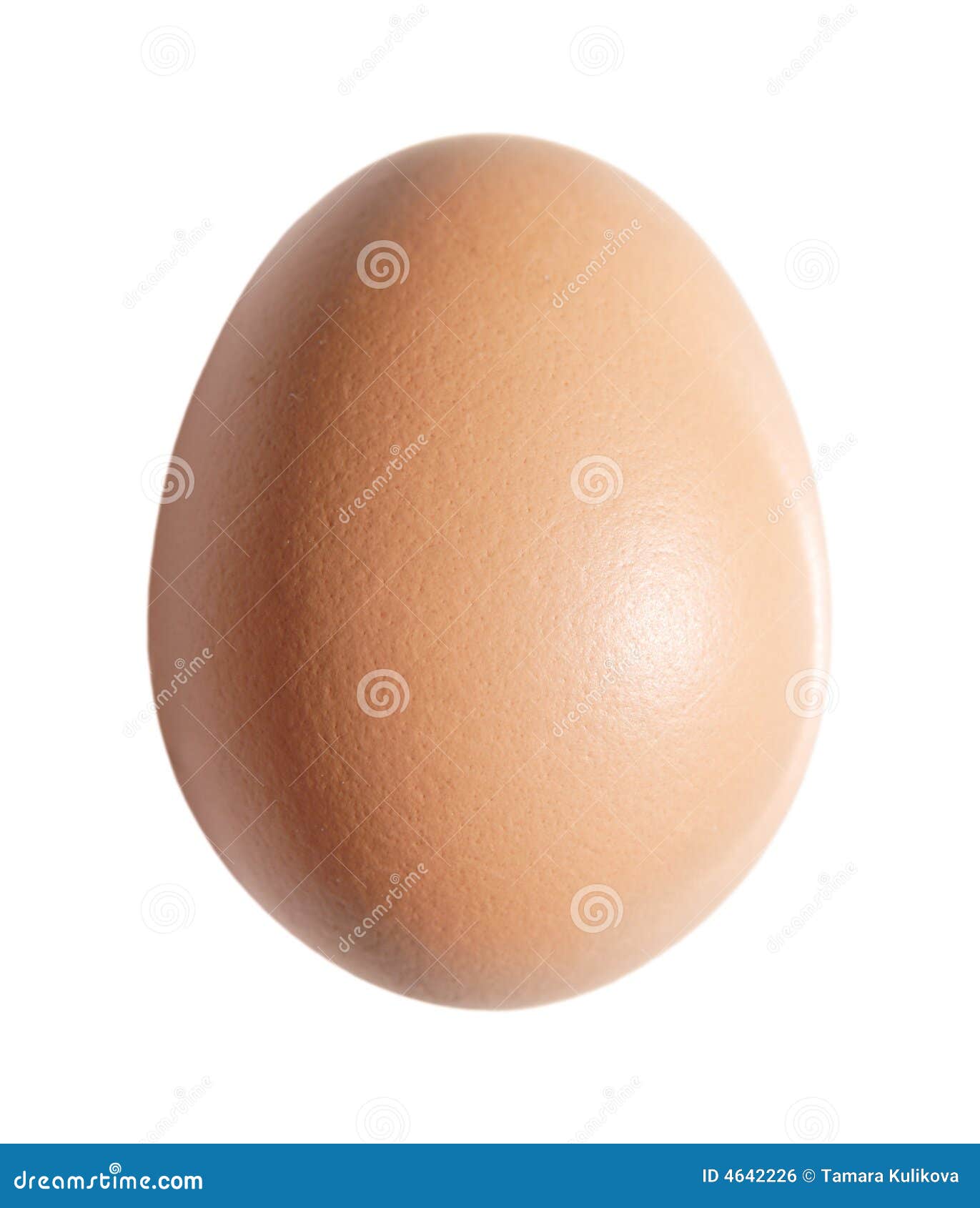 Egg stock photo. Image of brown, oval, small, nature, concept - 4642226