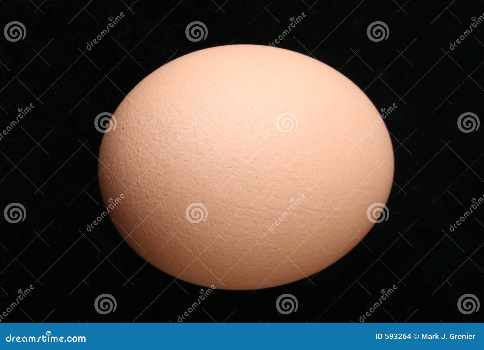 Egg Picture. Image: 593264