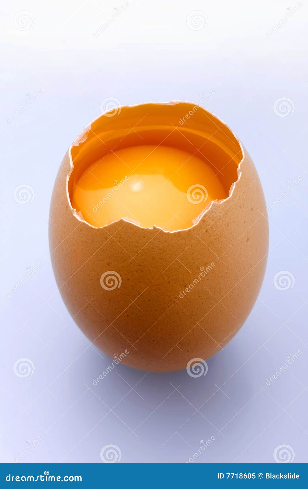 Egg stock image. Image of organic, shell, diet, biological - 7718605