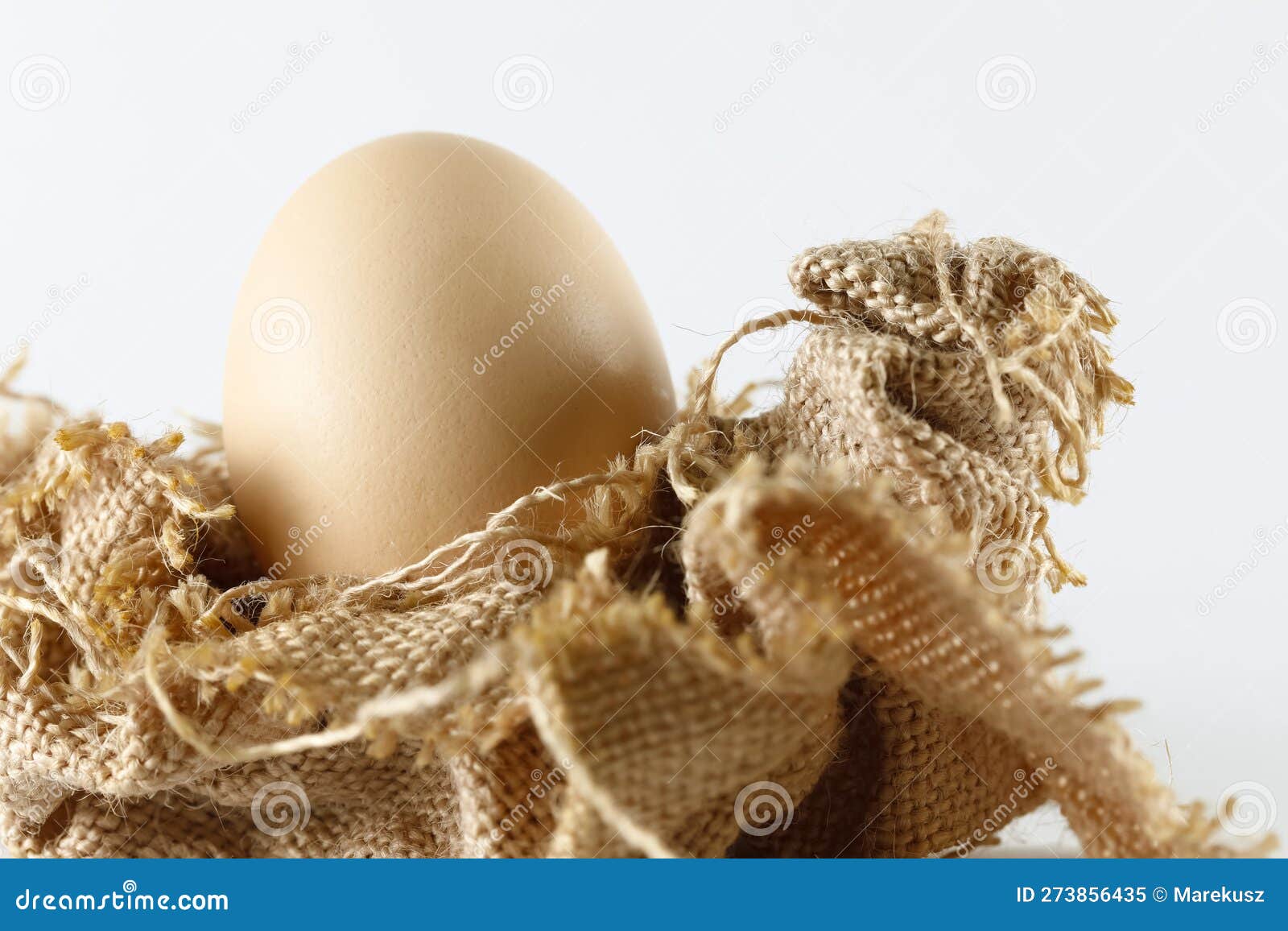 The Egg is in an Artificially Made Fabric Nest Stock Image - Image of ...