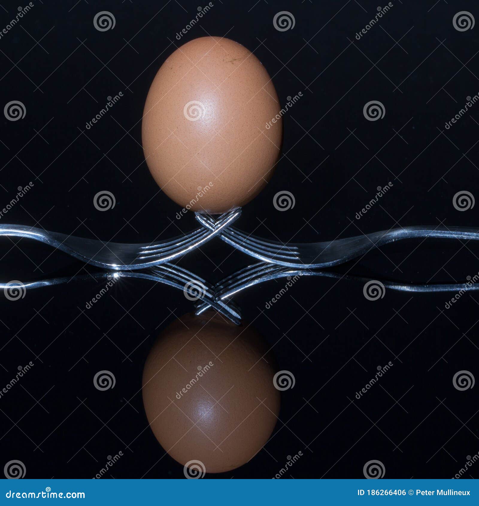 Egg Balancing on Tines of Two Forks Stock Photo - Image of fork ...