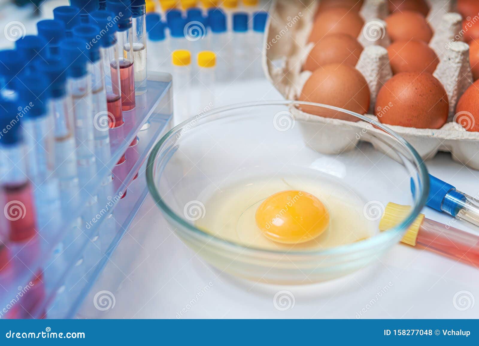 Egg is Being Tested for Germs. Food Quality Control. Stock Photo ...