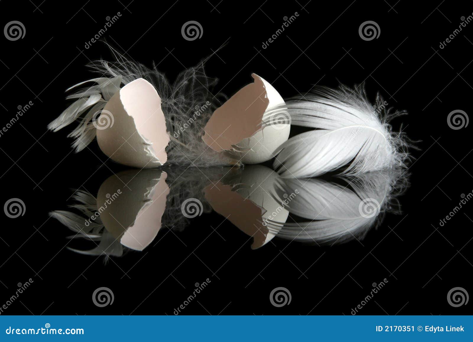 1,145 Cook Feather Stock Photos - Free & Royalty-Free Stock Photos from ...