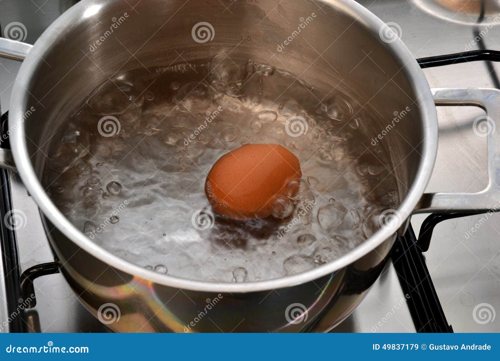 Egg stock image. Image of vapor, stove, boiling, water - 49837179