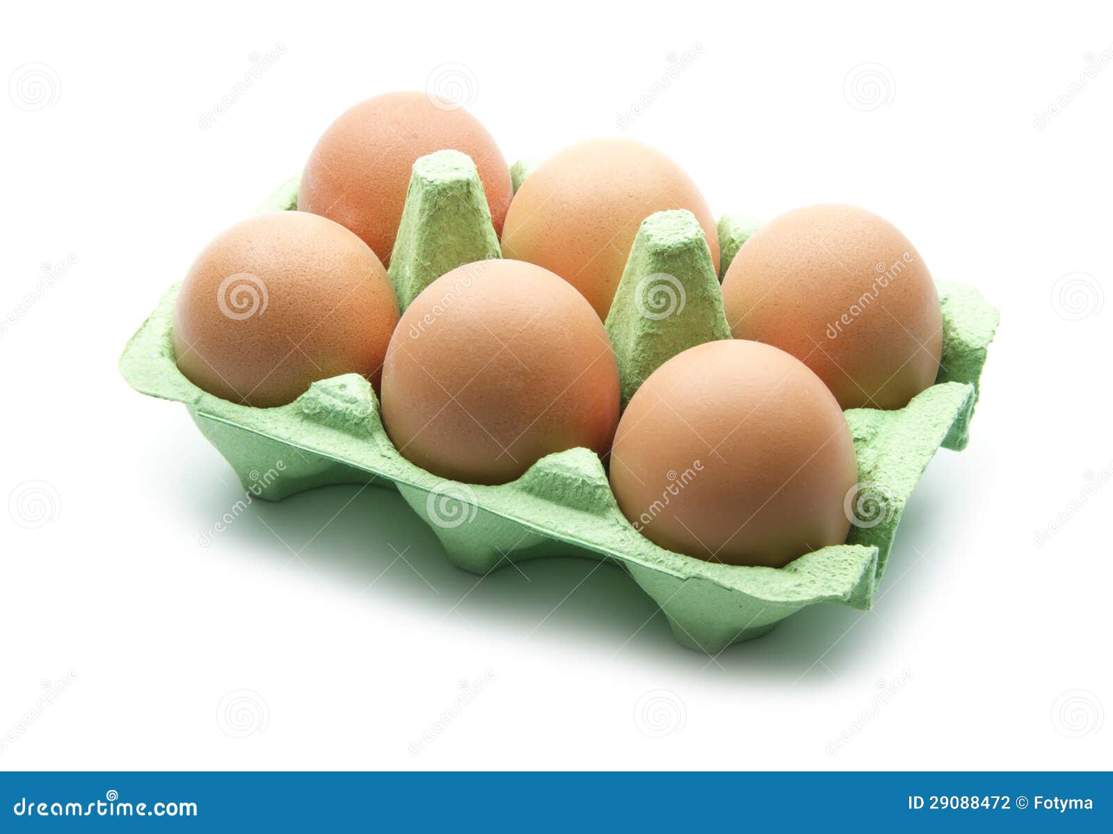 Egg box stock photo. Image of life, brown, group, healthy - 29088472
