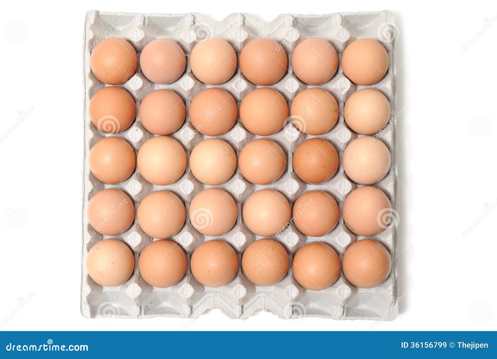Egg box and eggs stock image. Image of salmonella, protein - 36156799