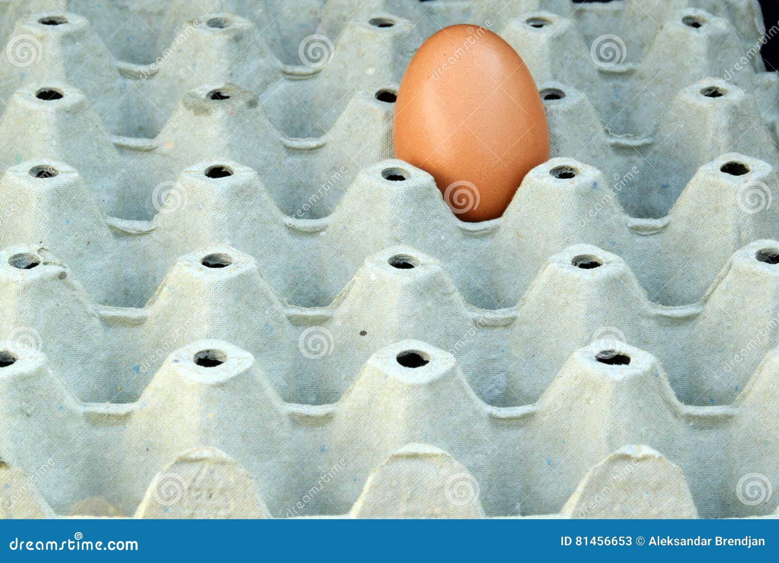The egg boxes with one egg stock image. Image of hollow - 81456653