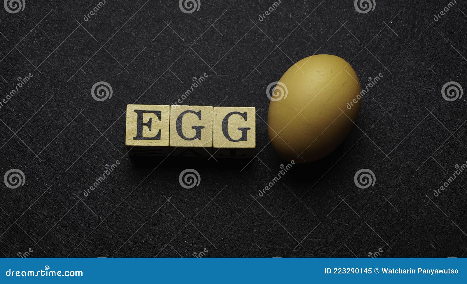 Shell Alphabet Stock Photography | CartoonDealer.com #13529300