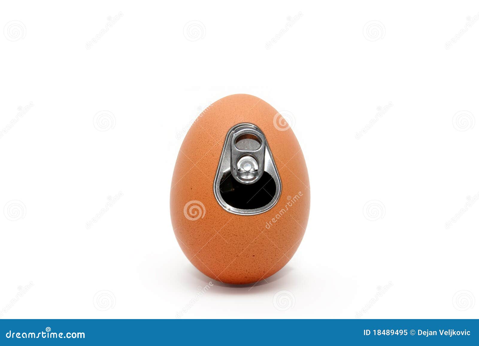 Egg can stock image. Image of food, shell, macro, organic - 18489495