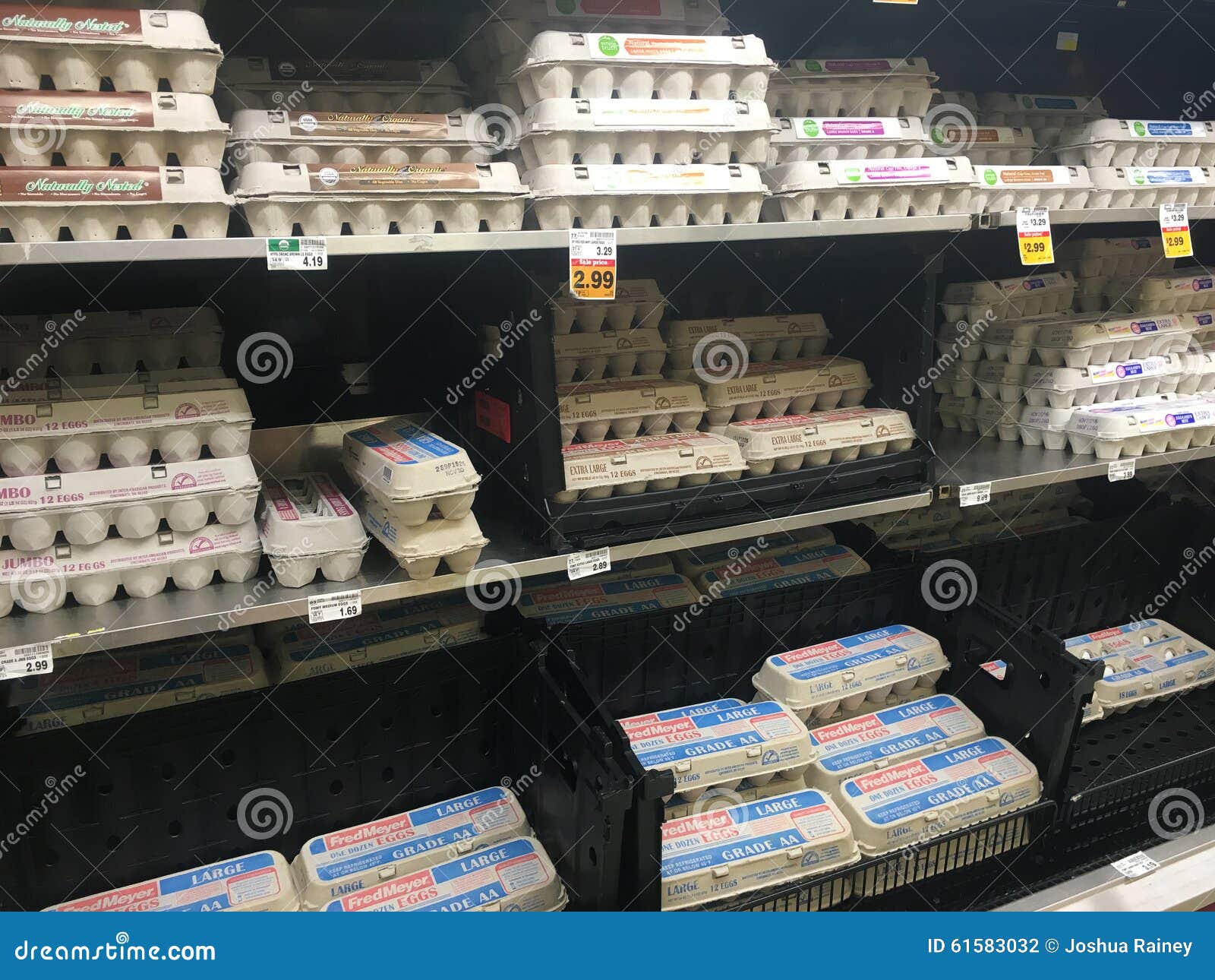 Egg Carton Selection at Grocery Store Editorial Photography - Image of ...