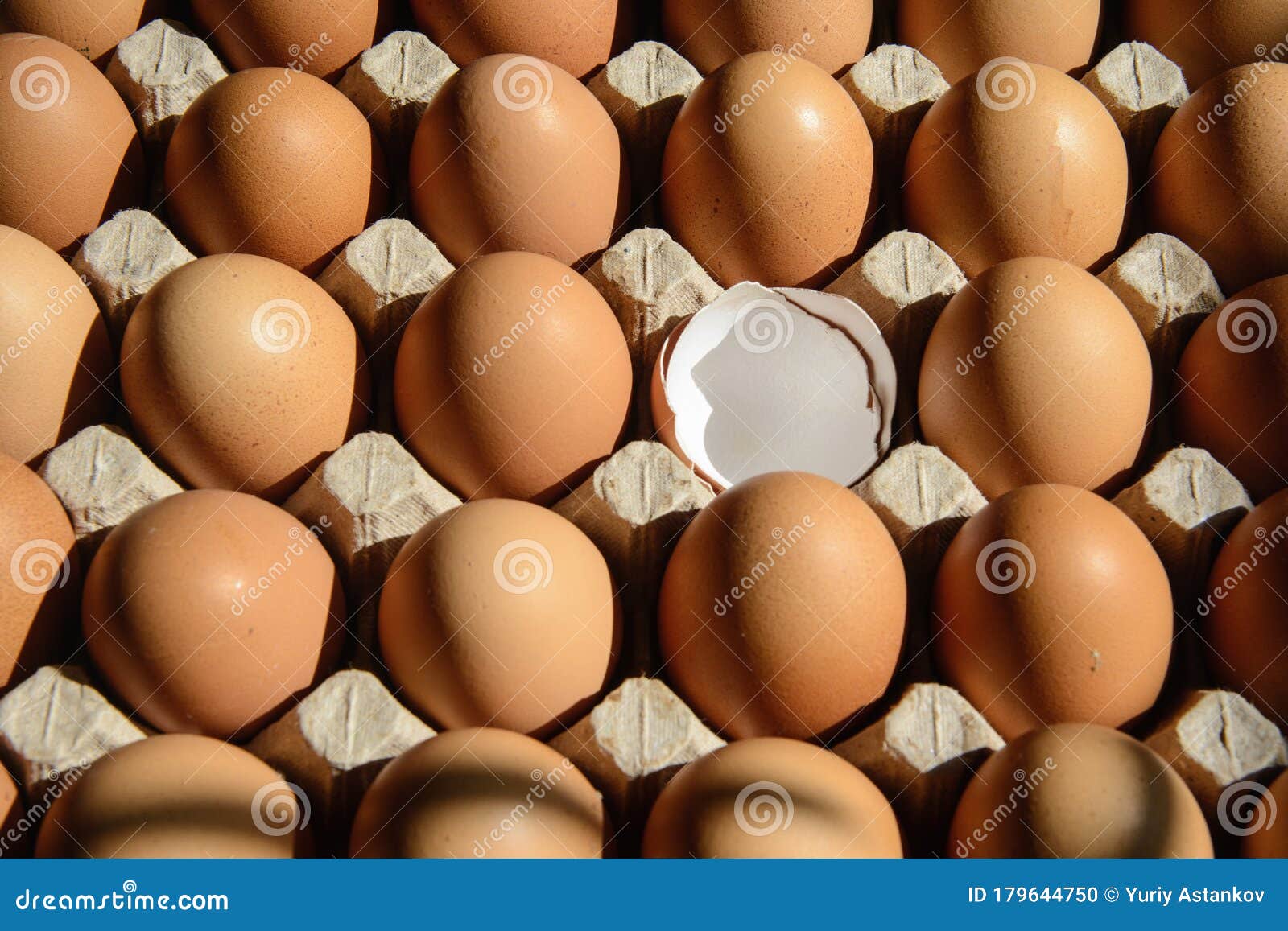 The Egg Cassette Contains Eggs with Brown Shells Stock Photo - Image of ...
